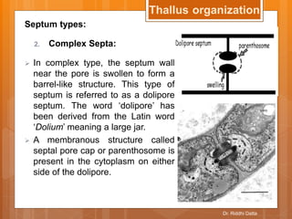 Introduction to the world of Fungi | PPT