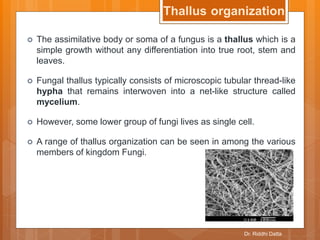 Introduction to the world of Fungi | PPT