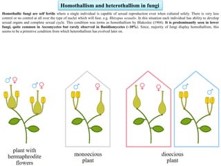Fungi fungi fungi fungi fungi fungi fungi | PDF