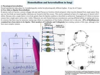 Fungi fungi fungi fungi fungi fungi fungi | PDF