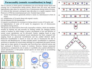 Fungi fungi fungi fungi fungi fungi fungi | PDF