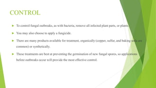 Fungi virus introduction | PPTX