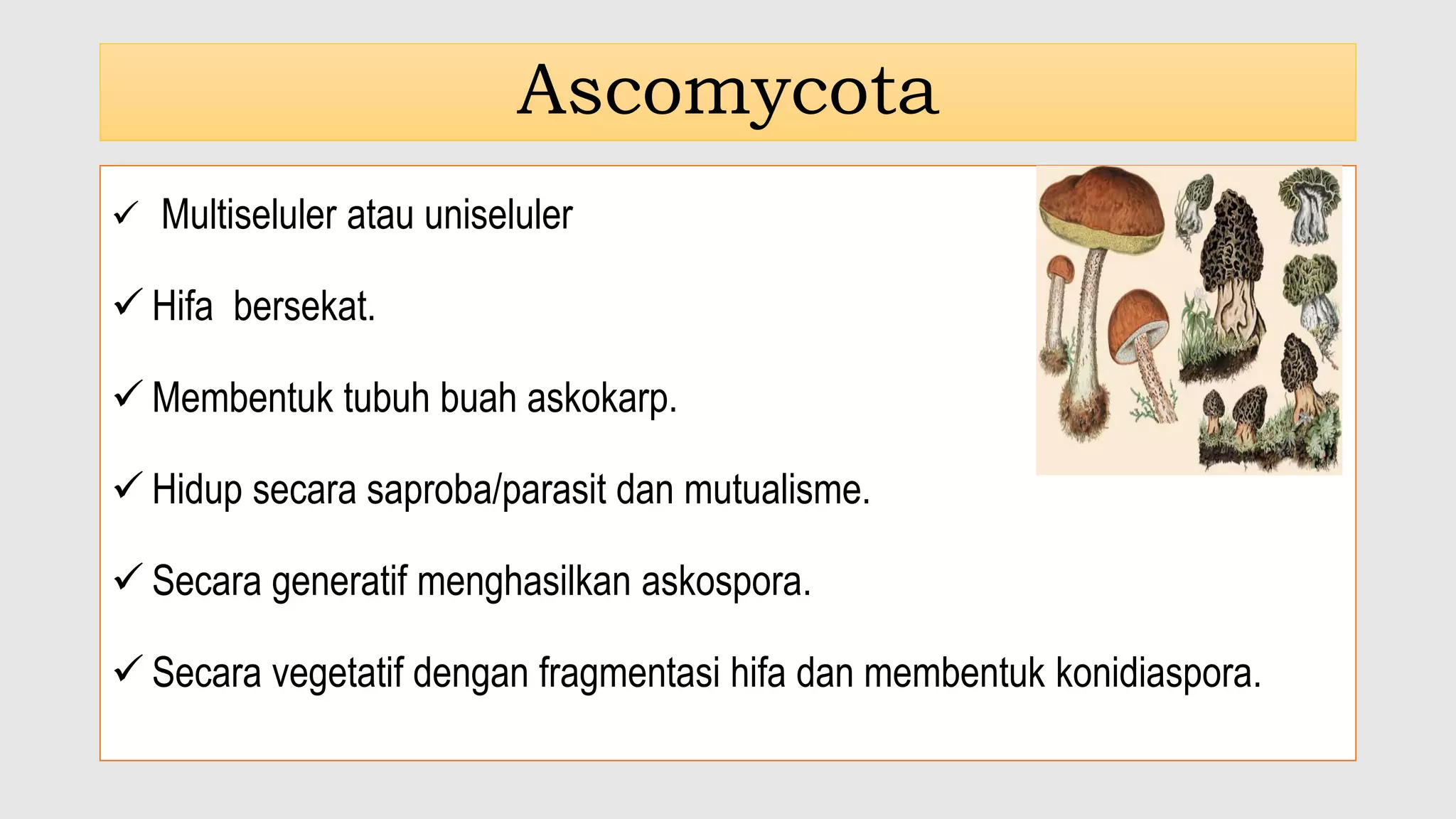 Materi Fungi Kelas X | PPTX