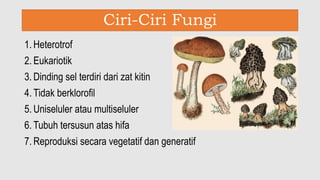 Materi Fungi Kelas X | PPTX
