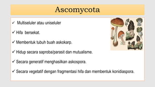 Materi Fungi Kelas X | PPTX