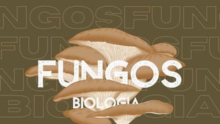 FUNGOS: Classificação, reprodução e importância dos fungos.pdf