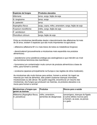 Fungos e micotoxinas em graos armazenados | DOC