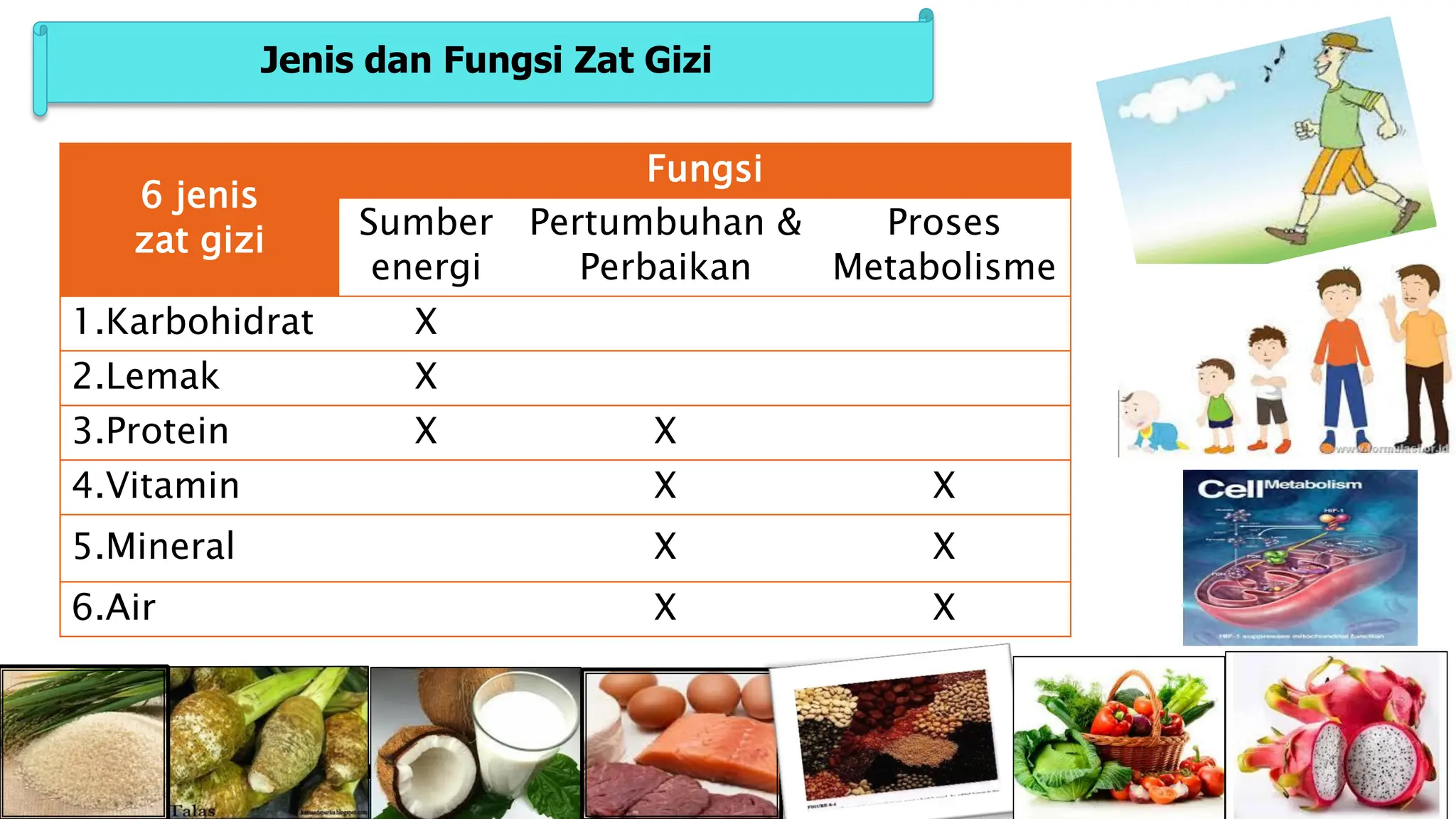 FUNGSI-DAN-KEBUTUHAN-ZAT-GIZI_edit2-YFB.pdf