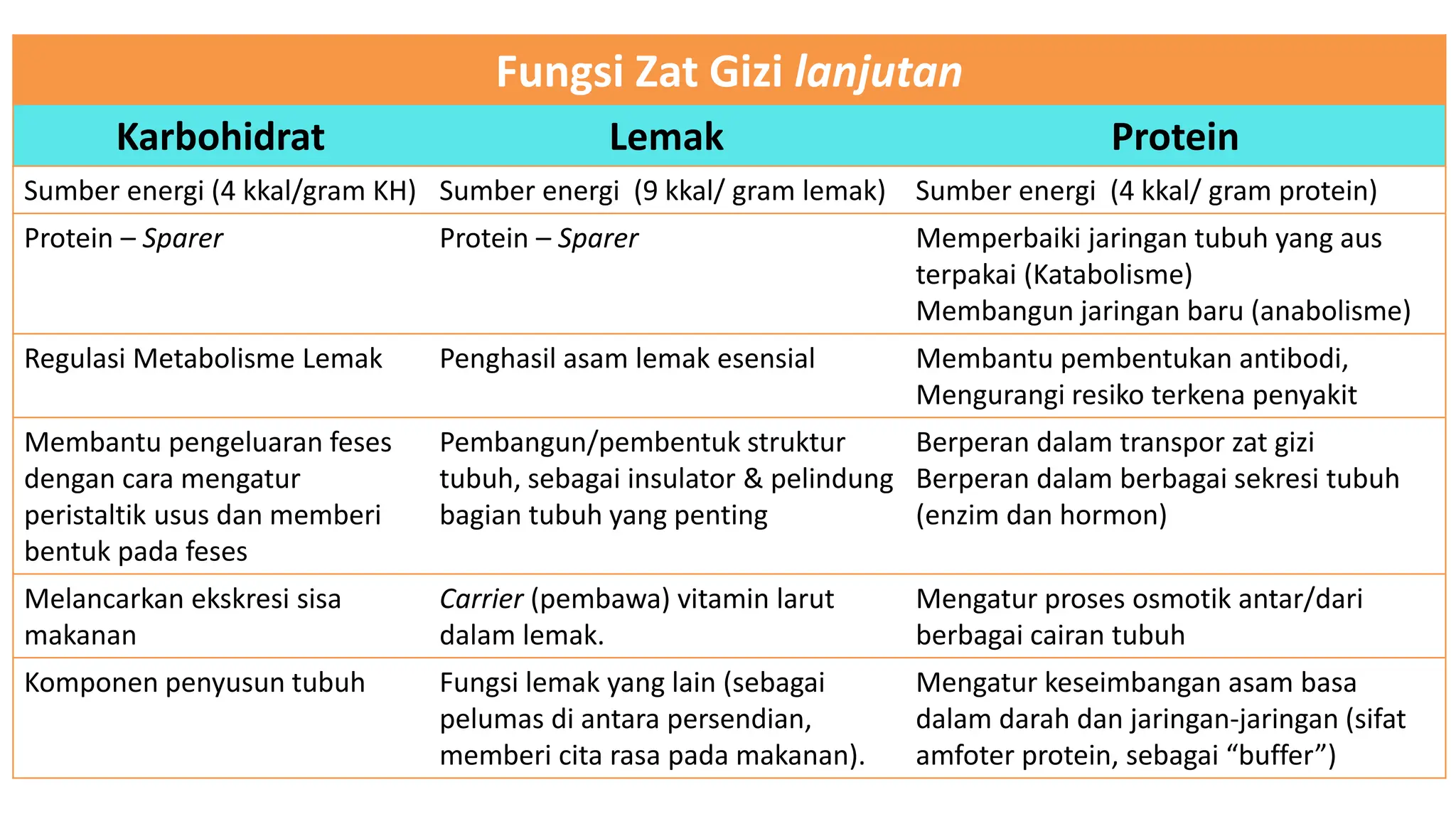 FUNGSI-DAN-KEBUTUHAN-ZAT-GIZI_edit2-YFB.pdf
