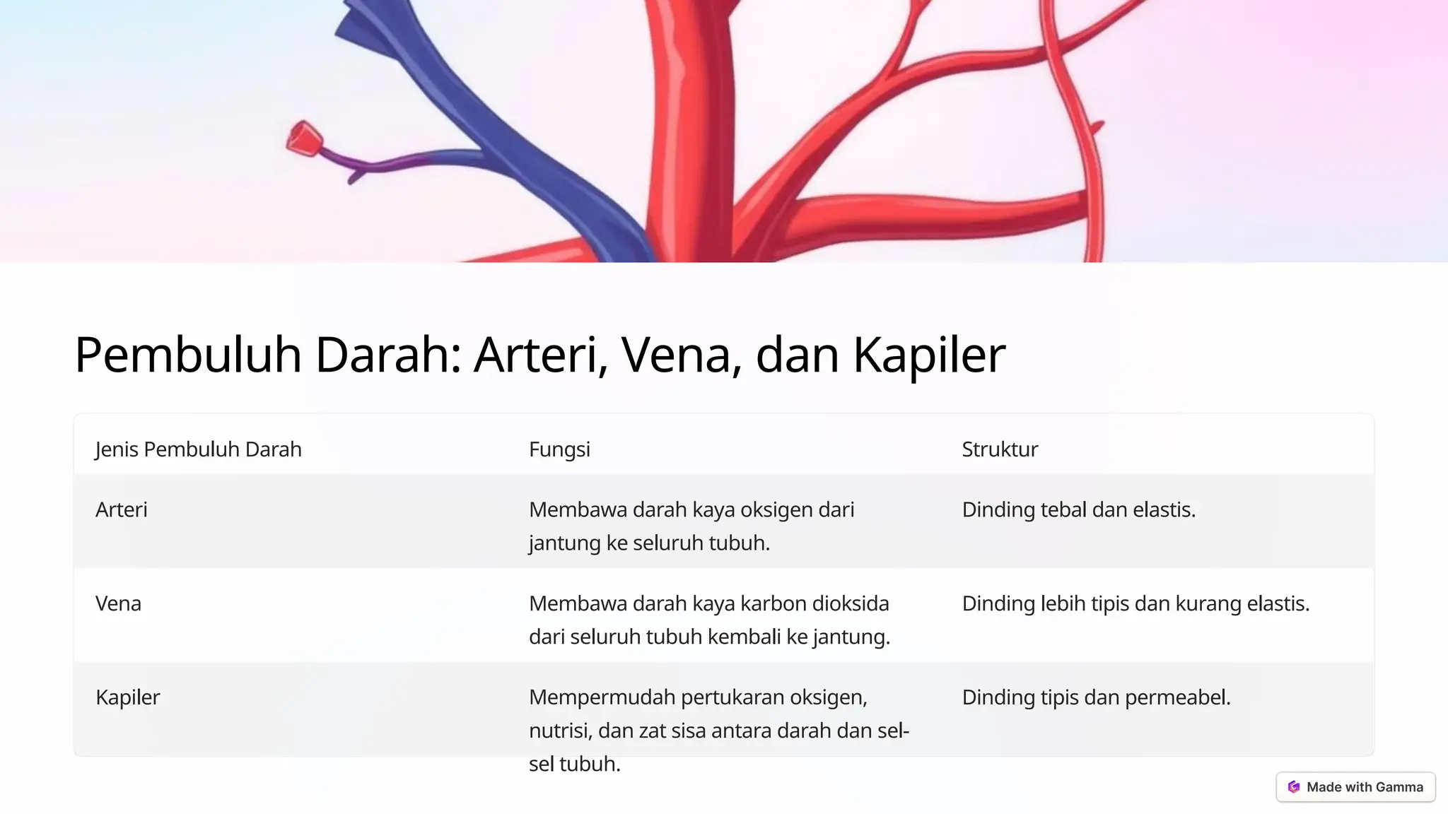 Fungsi-Sistem-Peredaran-Darah-pada-Manusia ukin.pptx