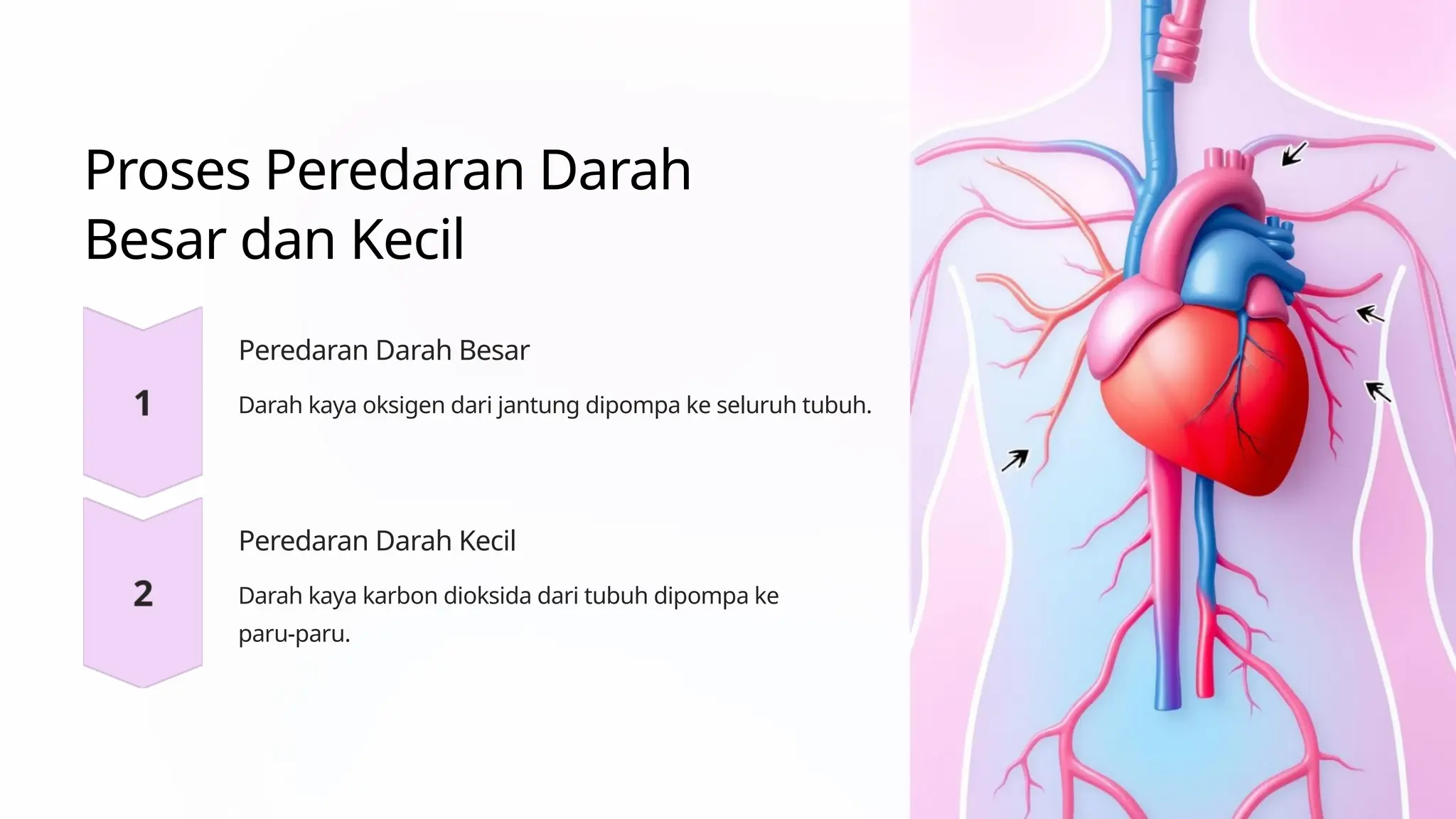 Fungsi-Sistem-Peredaran-Darah-pada-Manusia ukin.pptx