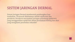 Fungsi dan struktur jaringan tumbuhan | PPTX