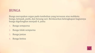 Fungsi dan struktur jaringan tumbuhan | PPT