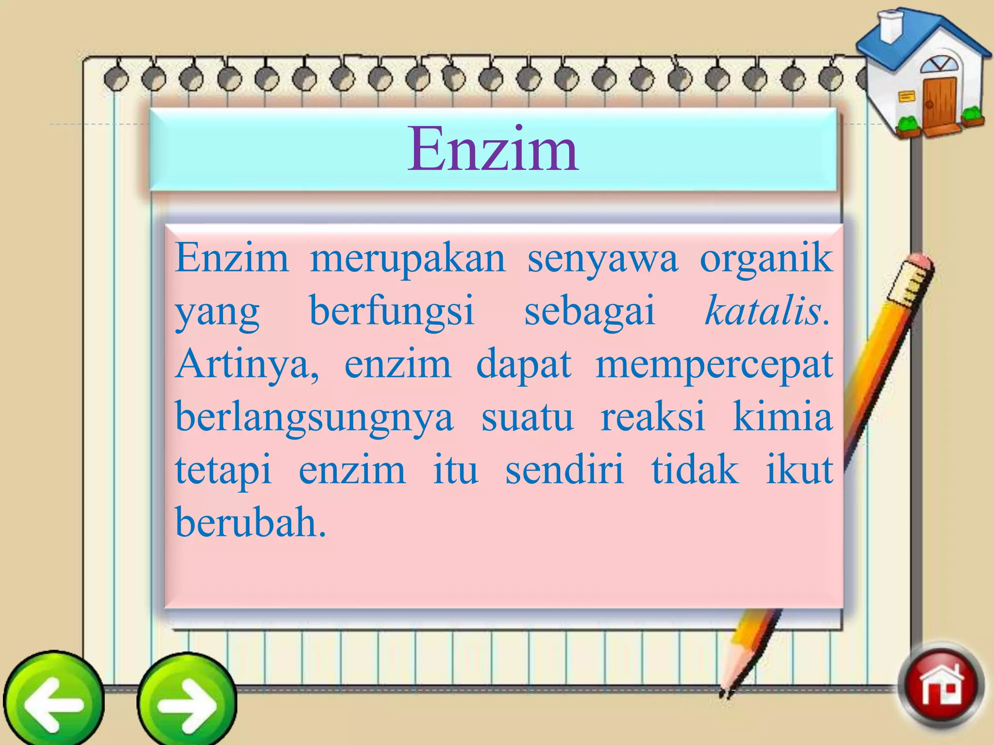 Fungsi Enzim dalam proses Metabolisme.pptx