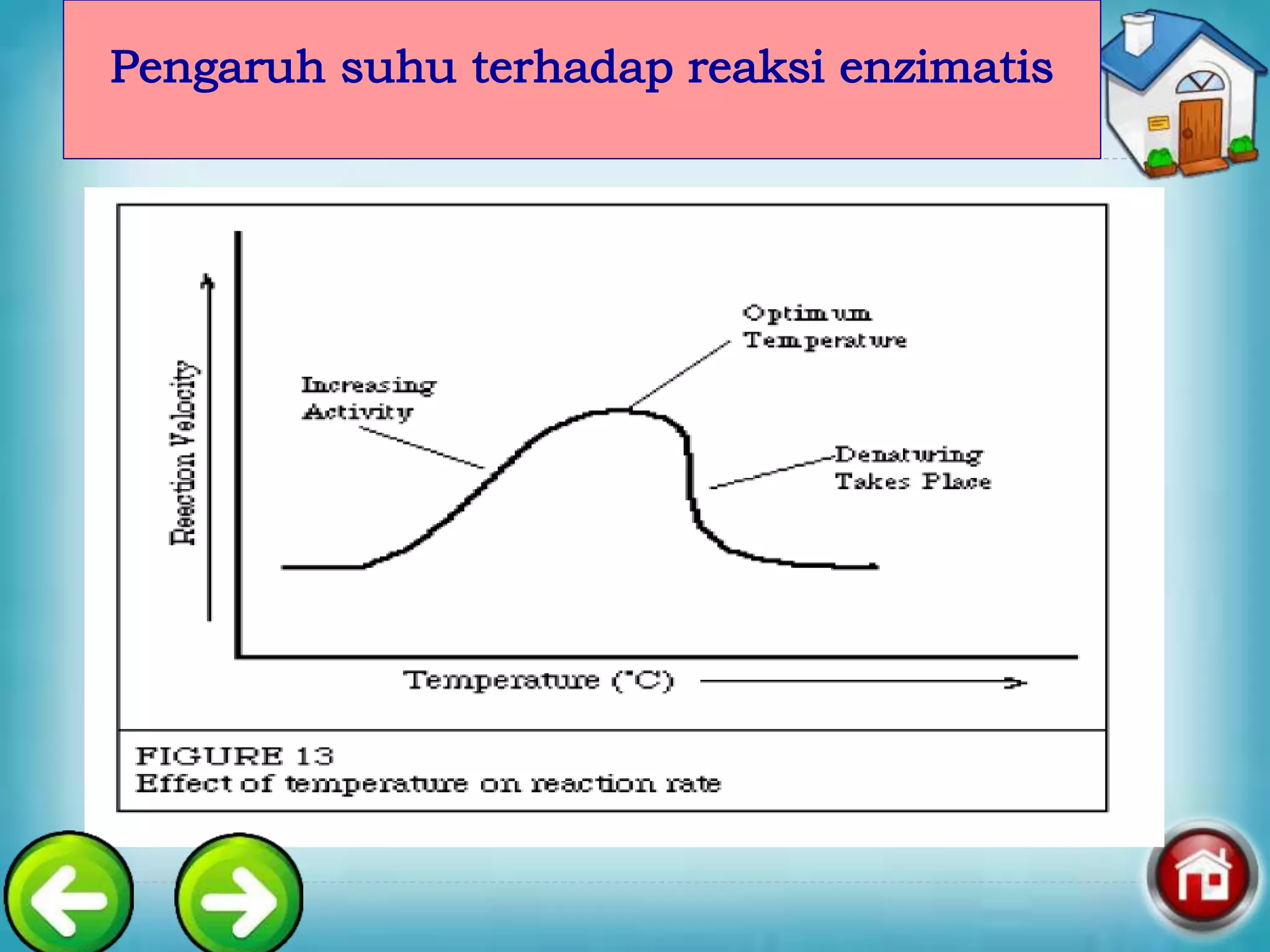 Fungsi Enzim dalam proses Metabolisme.pptx