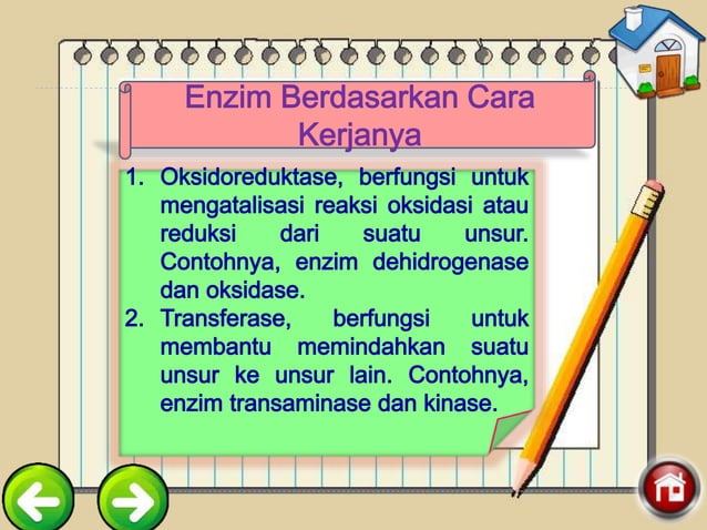 Fungsi Enzim dalam proses Metabolisme.pptx