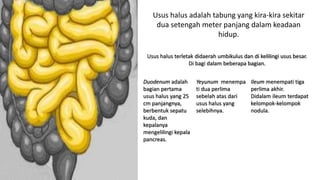 Fungsi gastrointestinal | PPTX