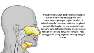 Fungsi gastrointestinal | PPT