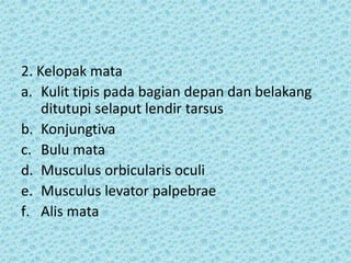 Fungsi indra penglihatan | PPTX