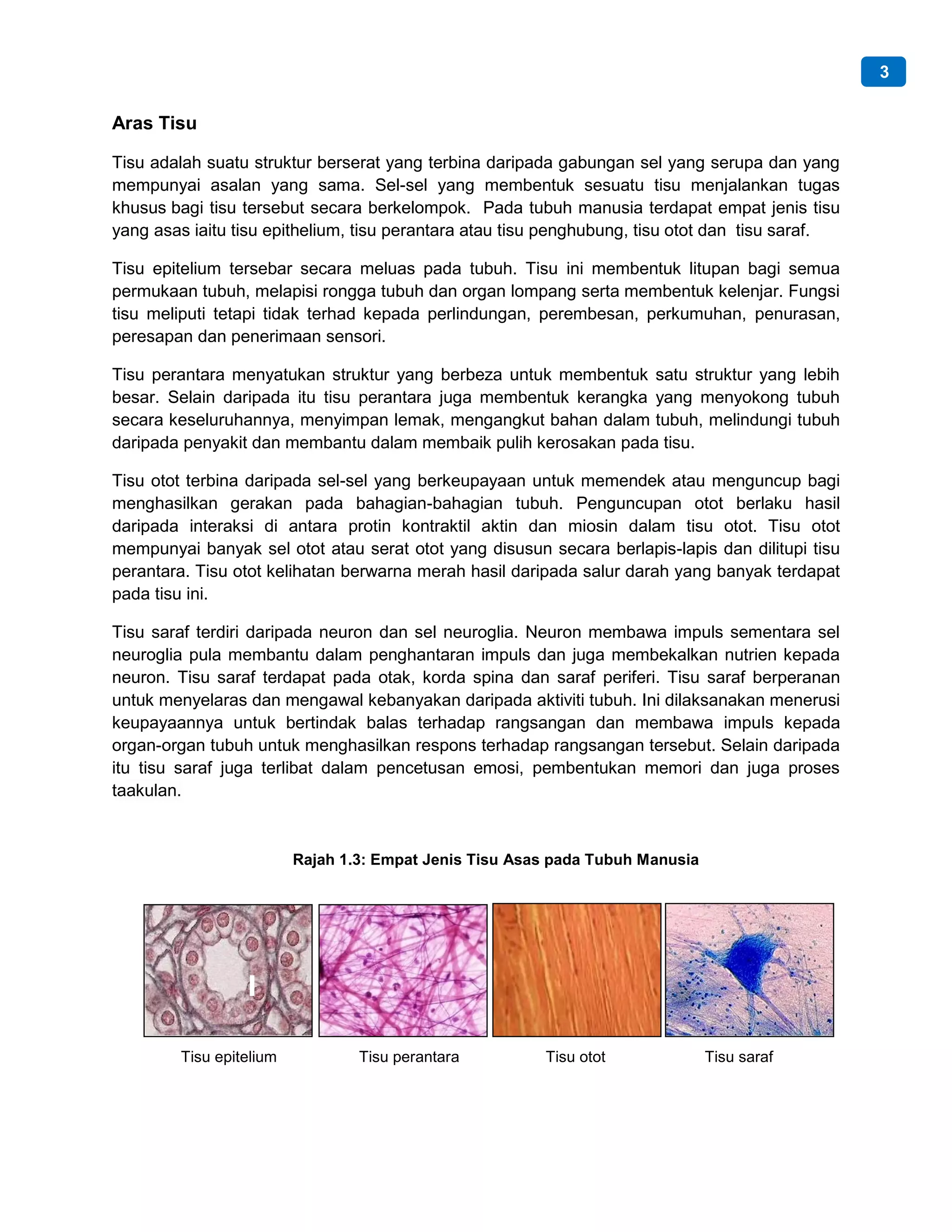 Fungsi muskuloskeletal dan pergerakan manusia | PDF