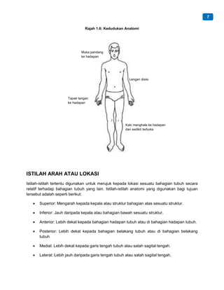 Fungsi muskuloskeletal dan pergerakan manusia | PDF