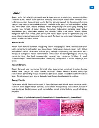 Fungsi muskuloskeletal dan pergerakan manusia | PDF
