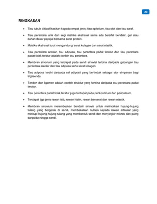 Fungsi muskuloskeletal dan pergerakan manusia | PDF