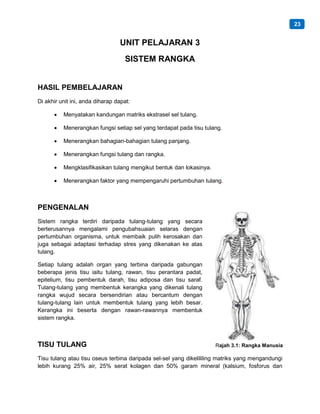 Fungsi muskuloskeletal dan pergerakan manusia | PDF