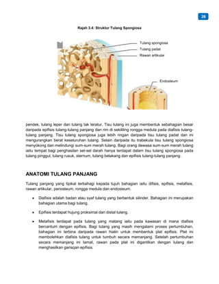 Fungsi muskuloskeletal dan pergerakan manusia | PDF