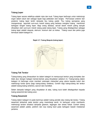 Fungsi muskuloskeletal dan pergerakan manusia | PDF