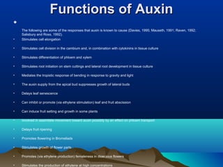 Fungsi nutrient asid amino baja foliar taaveekun | PPT