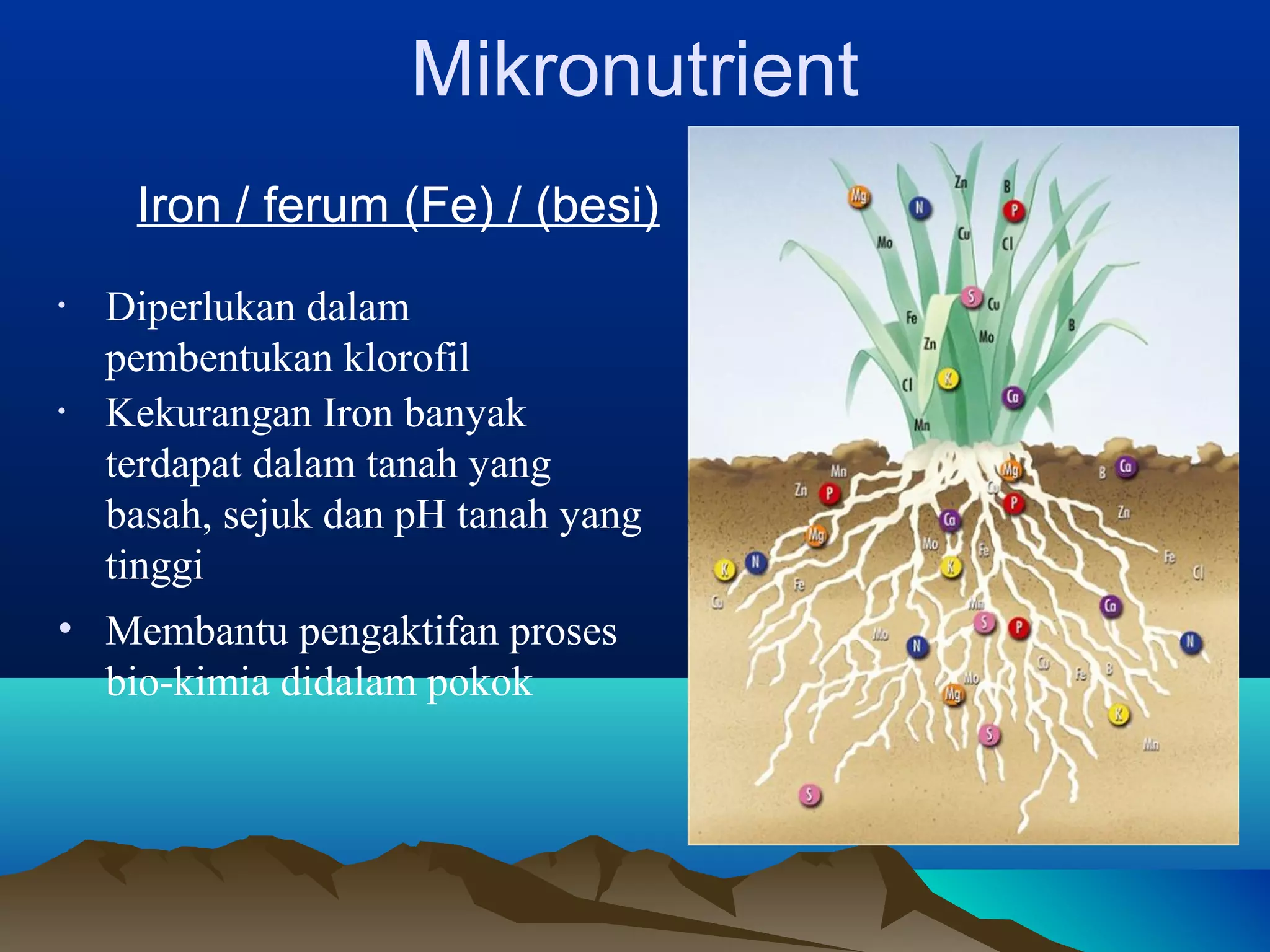 Fungsi nutrient dalam baja kimia cap pokok sawit | PPT