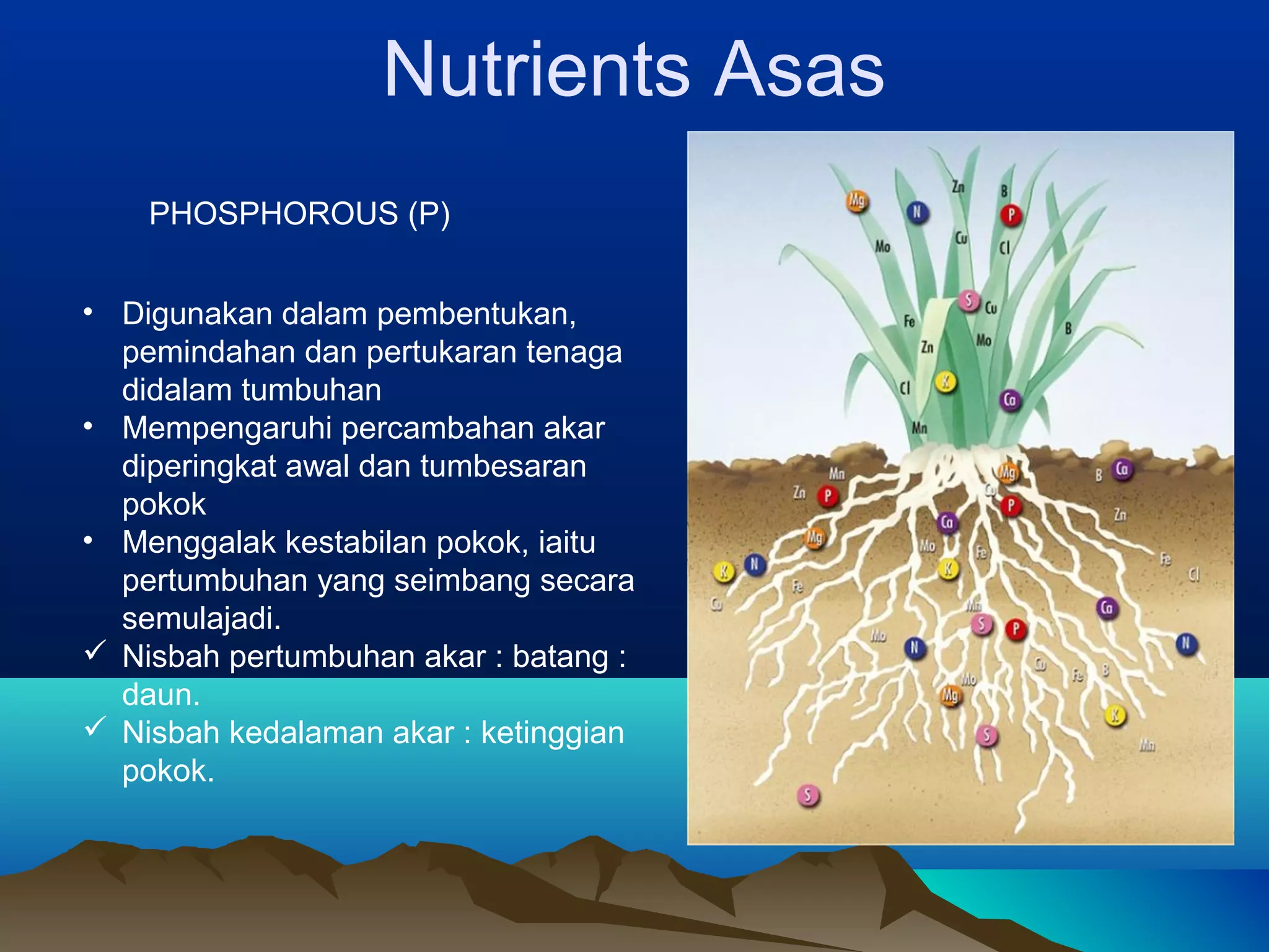 Fungsi nutrient dalam baja kimia cap pokok sawit | PPT