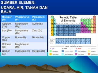 Fungsi nutrient dalam baja kimia cap pokok sawit | PPT