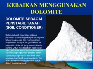 Fungsi nutrient dalam baja kimia cap pokok sawit | PPT
