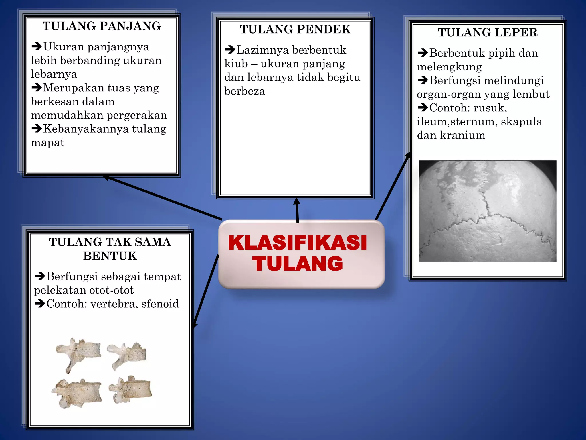 fungsi sistem tubuh badan.pdf