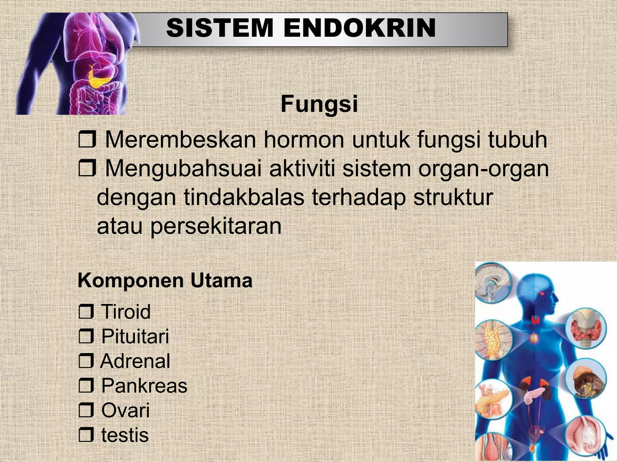 fungsi sistem tubuh badan.pdf