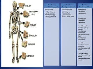 fungsi sistem tubuh badan.pdf