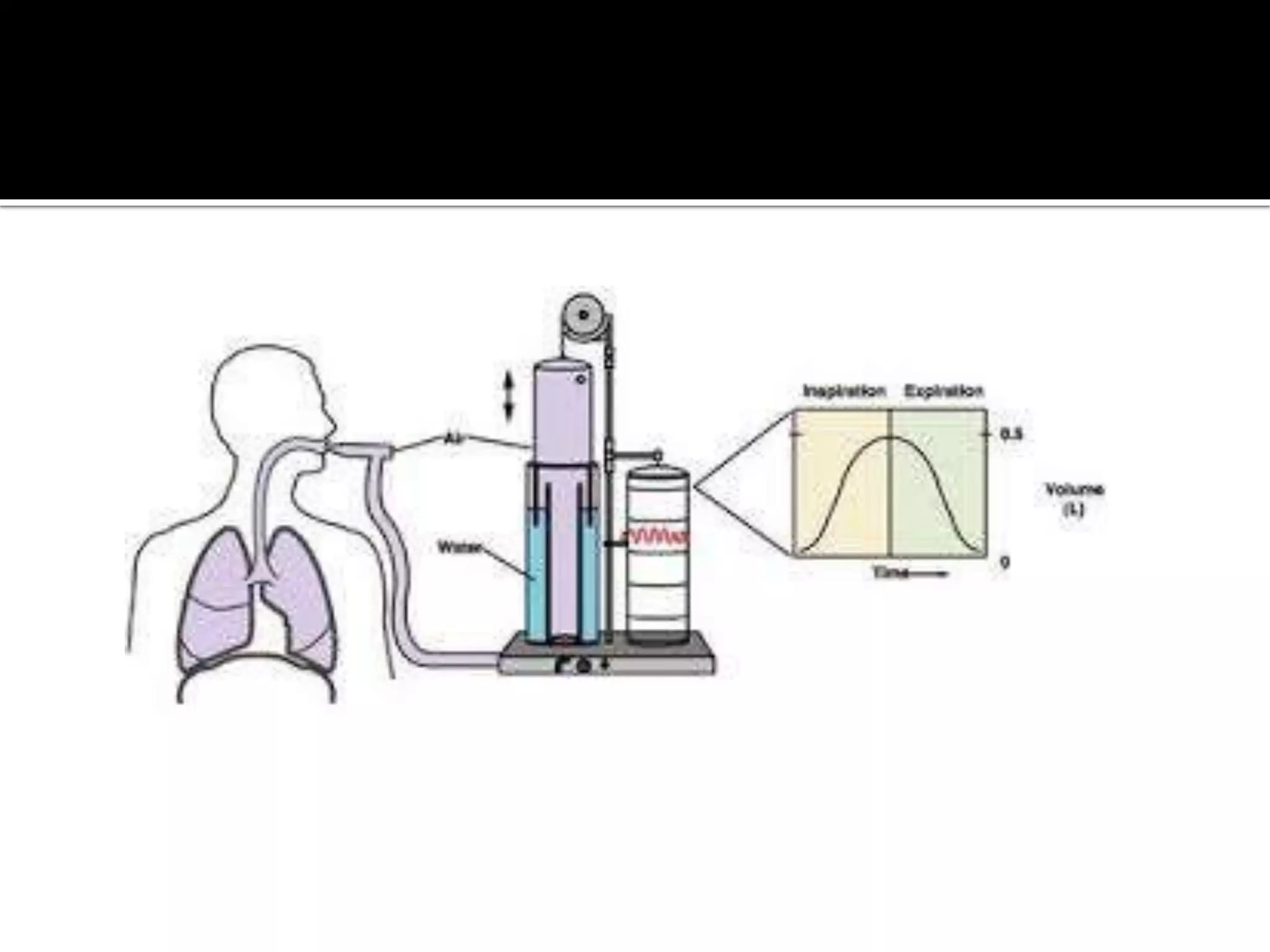 Fungsi Spirometri Fisiologi | PPTX