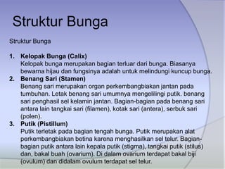 Fungsi Tumbuhan | PPTX