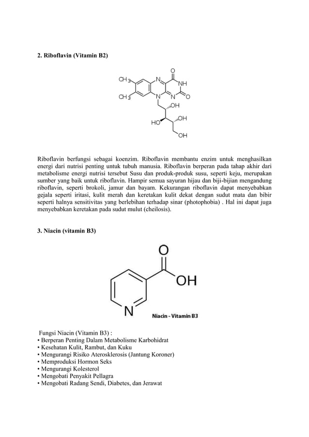 Fungsi Vitamin Dalam Tubuh Berbeda Pdf