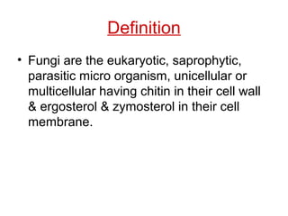 Fungi Definition