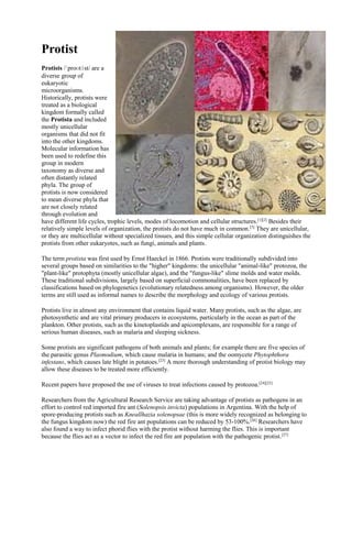 Fungus | DOCX | Biological Sciences | Science