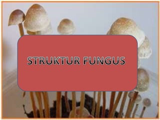Fungus | PPTX