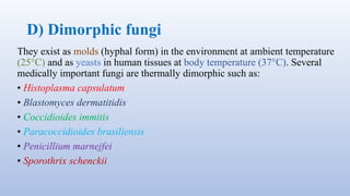 Medical Mycology, Infection or Disease Part-1.pptx