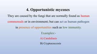 Medical Mycology, Infection or Disease Part-1.pptx
