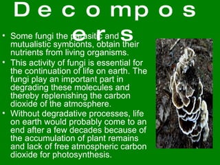 Fungus Among Us | PPT