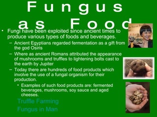 Fungus Among Us | PPT