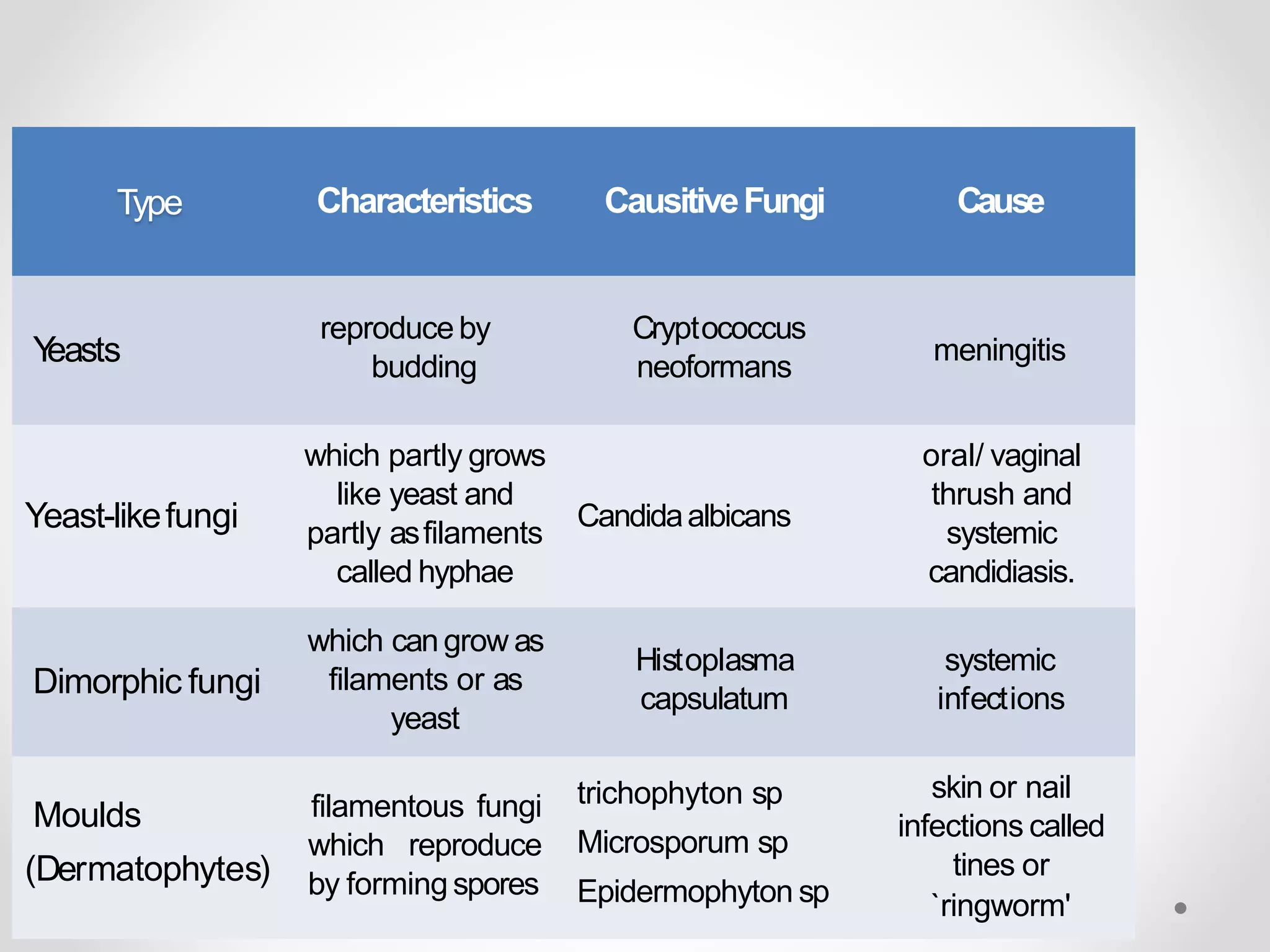 Fungus and anti fungal drugs | PPT