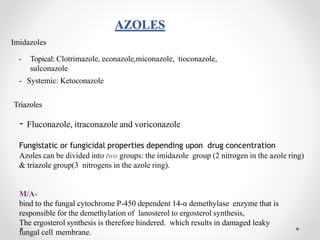 Fungus and anti fungal drugs | PPT